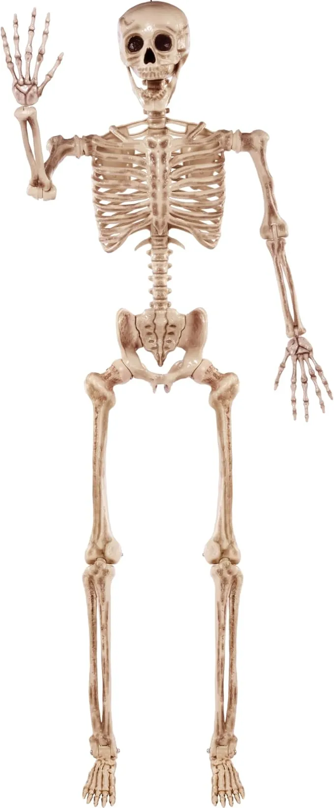 JOYIN - 5.6 FT Halloween Posable Life Size Skeleton Rating | SHOPSTAFF